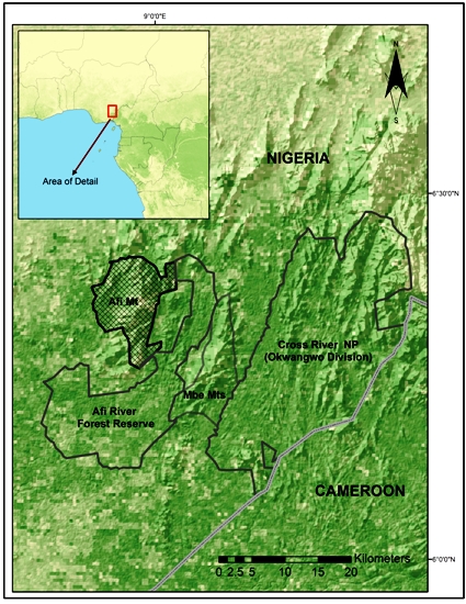 Afi Mountain Wildlife Sanctuary